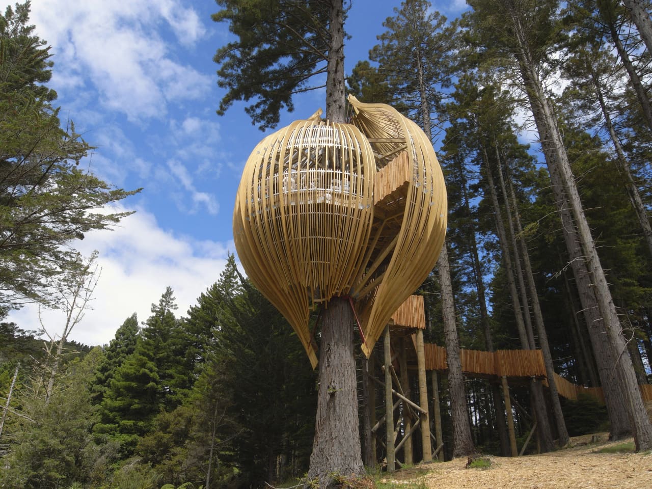 YELLOW TREEHOUSE RESTAURANT - Página Uno