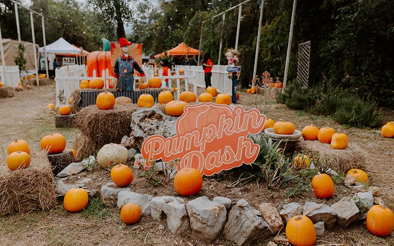 The Pumpkin Dash | Festival de Otoño en Monterrey - Página Uno