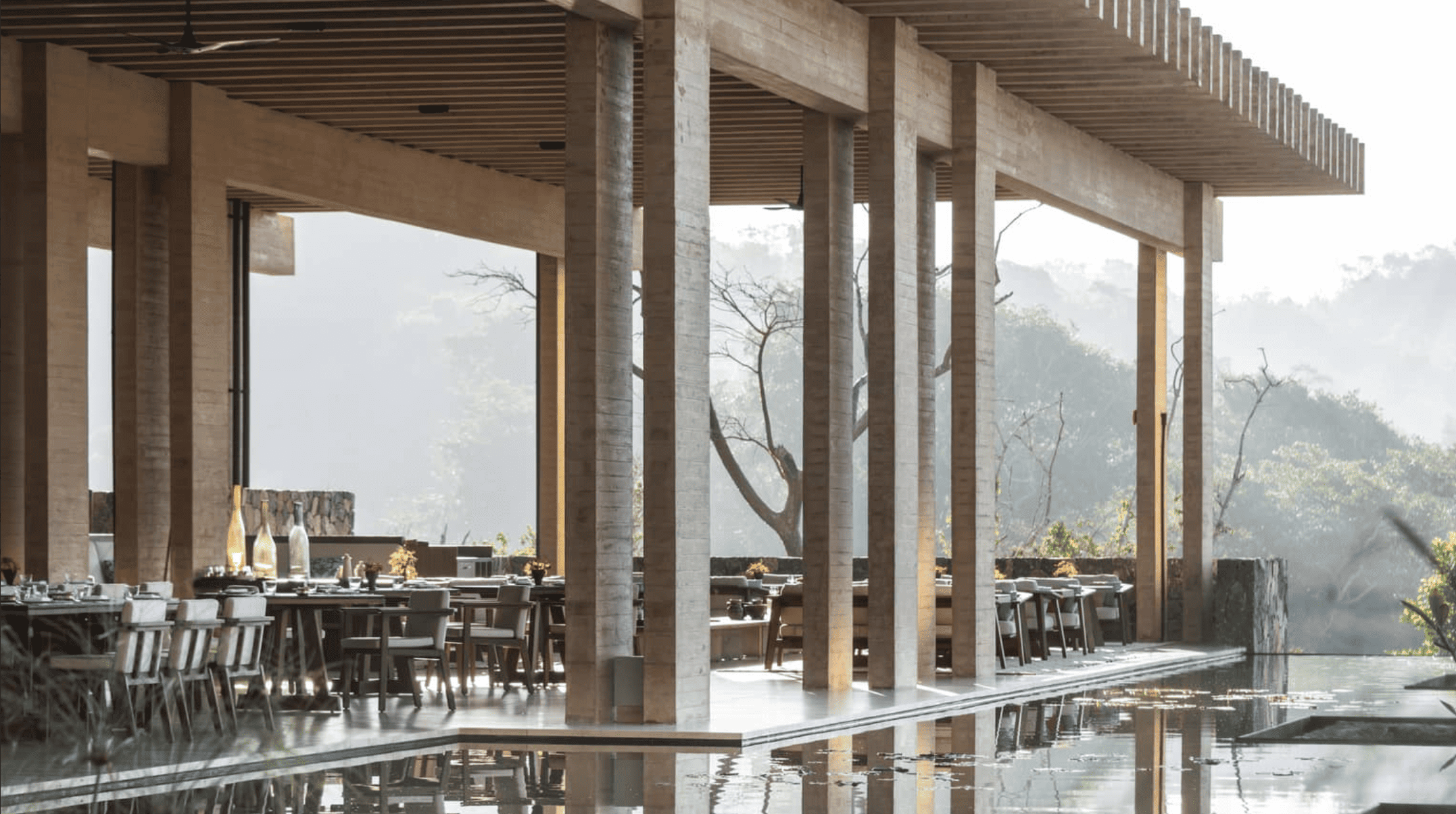 COYUL: UN VIAJE GASTRONÓMICO QUE CELEBRA LA NATURALEZA Y LA TRADICIÓN ...